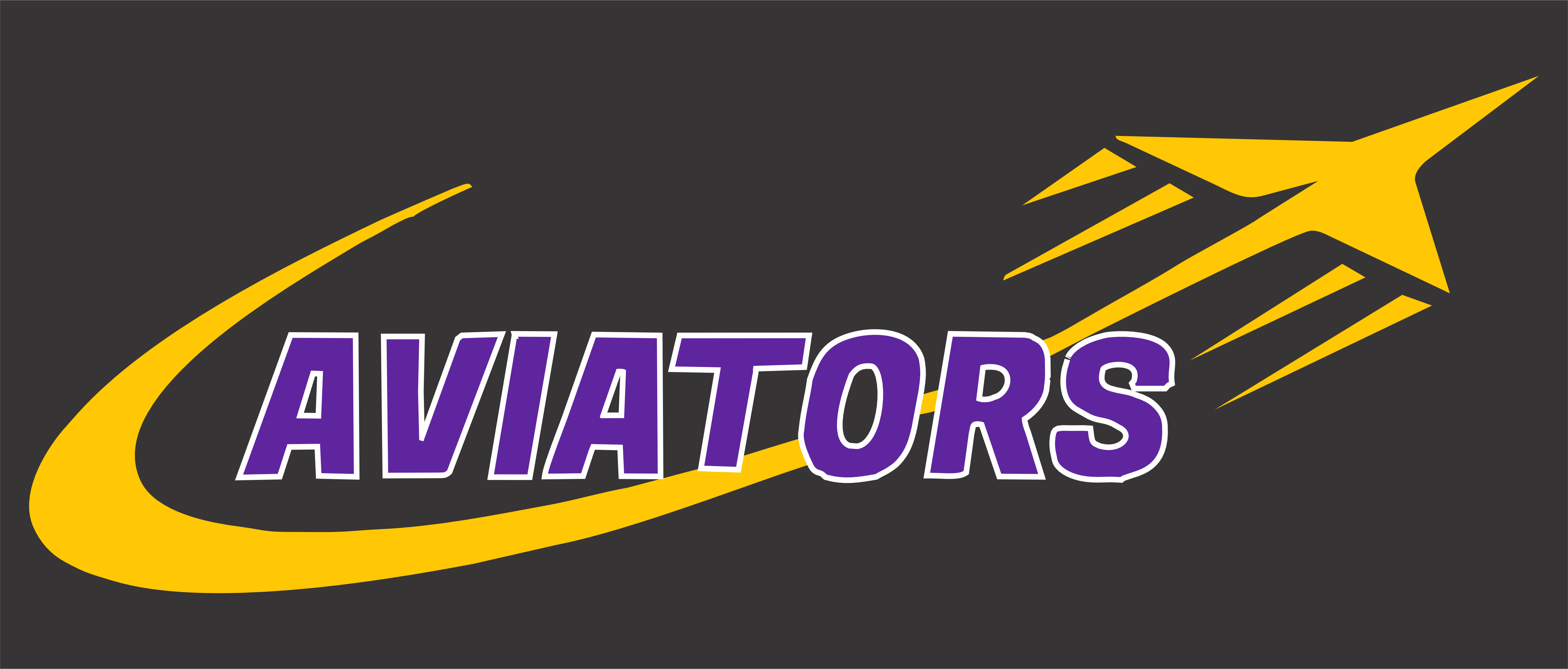 Introducing the Latest Designs – MS GRAPHICS LLC